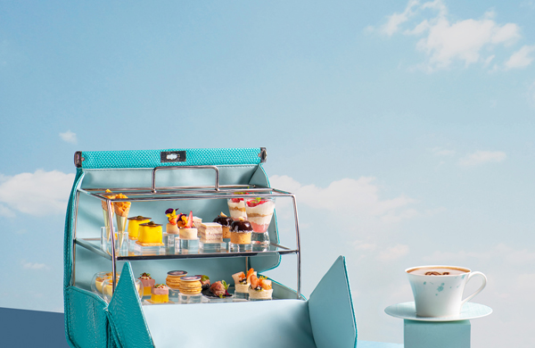 Niccolo Explorer Club