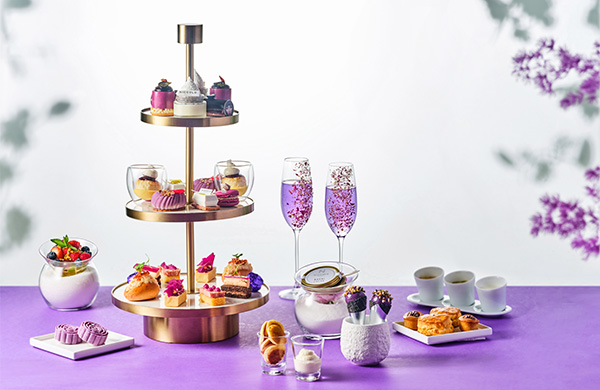 Niccolo Explorer Club